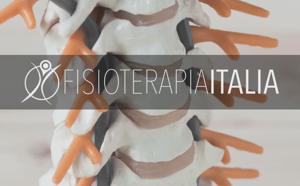 Il tratto dorsale della spina dorsae