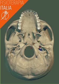 Patologie della testa