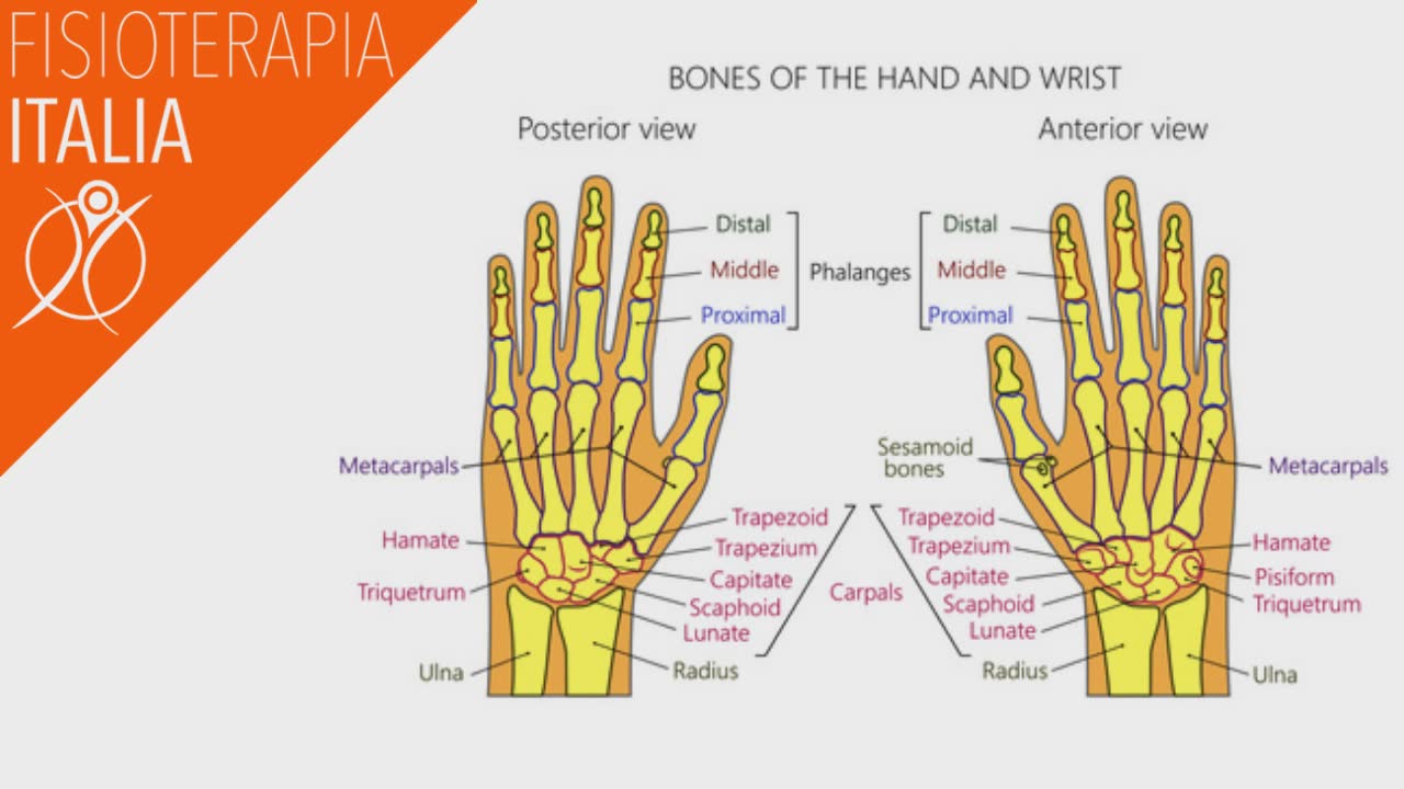 La sindrome del tunnel carpale cause e cura