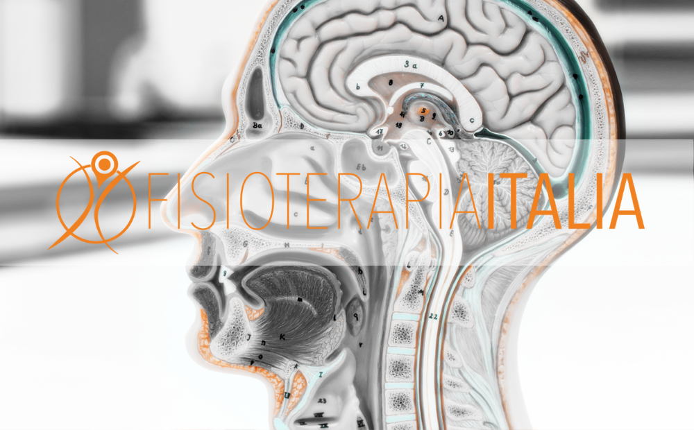 Patologie muscolo-scheletriche, cosa sono e come si curano